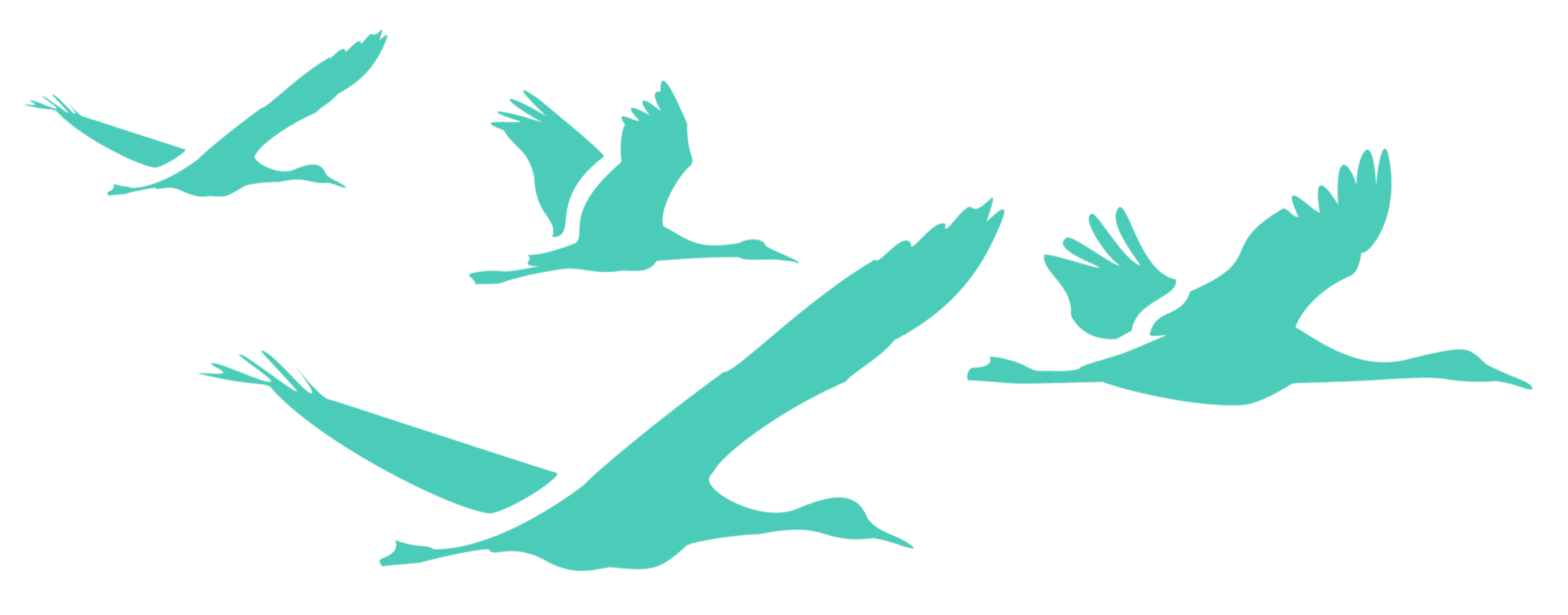 Day Service | Eating Disorder Service Plymouth